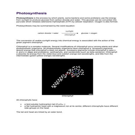 15_Photosynthesis.pdf | Chemistry | Science