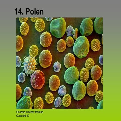 Polen | PPTX