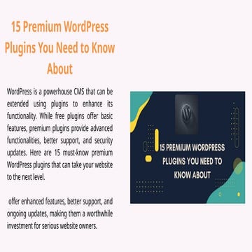15 Premium WordPress Plugins You Need to Know About | PPT