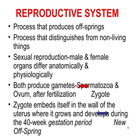 Human Reproductive system: Anatomy and physiology | PPTX