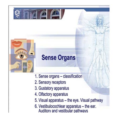 Human sense organs | PDF