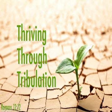 Thriving Through Tribulation | PDF