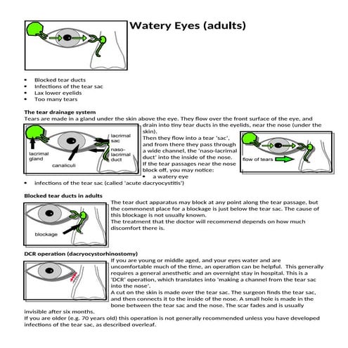 Examination of the eye | PPT