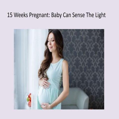15 Weeks Pregnant: What to Expect | Pregnancy Week By Week | PPTX