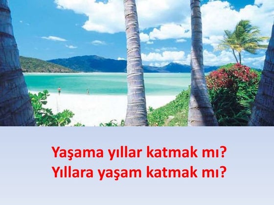 Joseph Fakhry Habib Yanny_Diploma | PDF