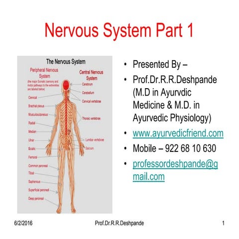 Nervous system part 1 | PDF