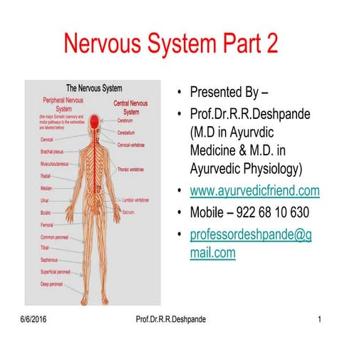 Nervous system part 2 | PDF