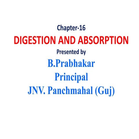 16. Digestion and Absorption | PPTX
