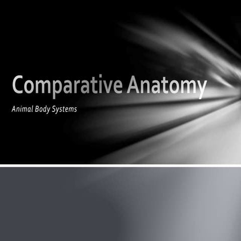 Comparative Anatomy Notes | PPTX