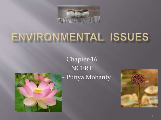 Environmental issues CLASS XII | PPT