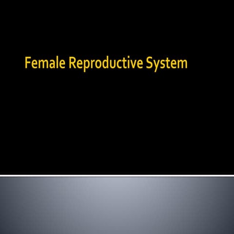 16. Female Reproductive System.pdf