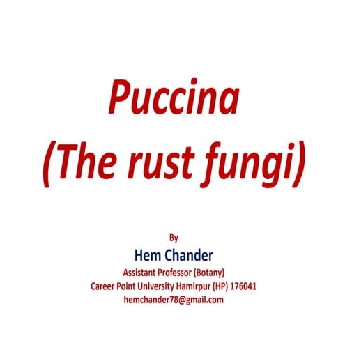 16. Puccinia.pdf