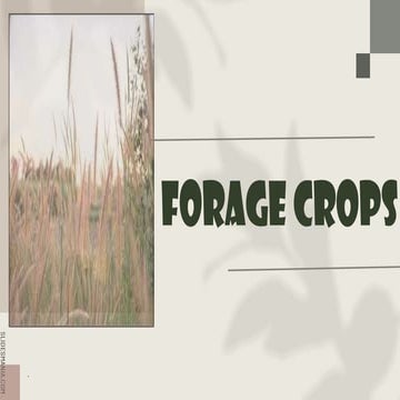 16. forage-crop-original-1.pptx......... | PPTX