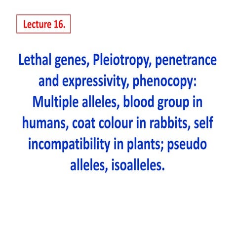 16. Lecture 16 Lethel genes, pleiotropy.ppt