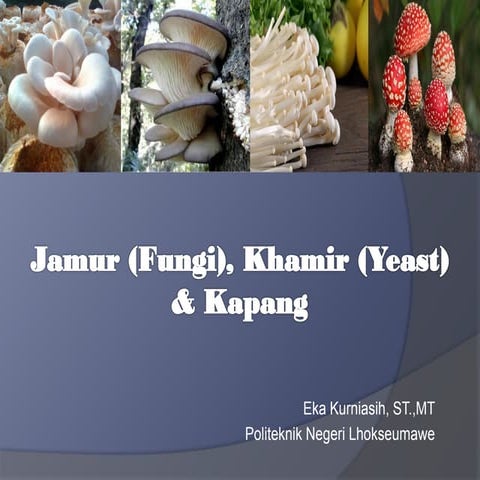 Jamur dan Kapang dan aplikasinya dalam kehidupan | PDF