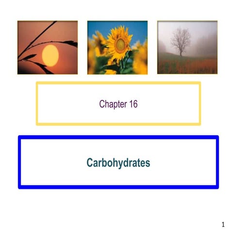 Carbohydrates | PPTX