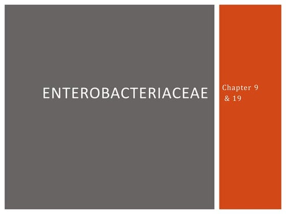 Enterobacteriaceae , Enterobacter and their Biochemical Test | DOCX
