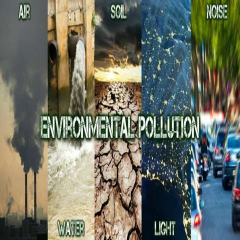 Environmental Pollution | PPTX