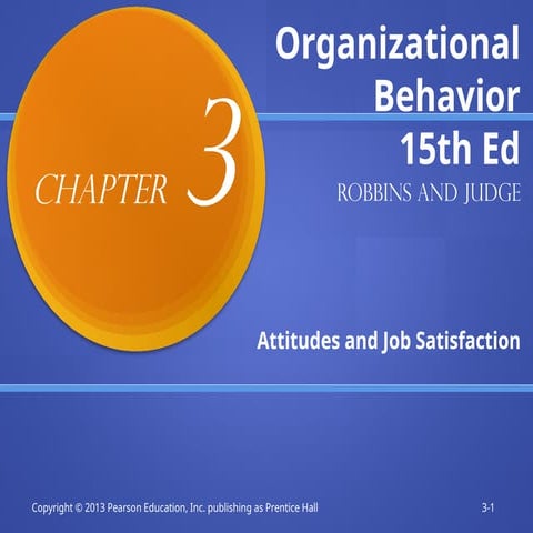 Organizational behavior essentials chapter 3-ch-3.ppt