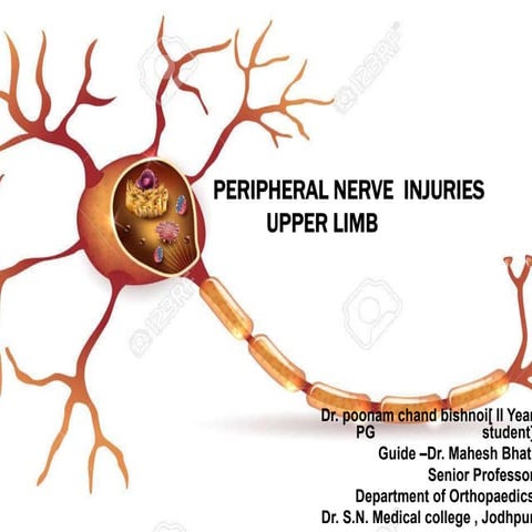 Peripheral nerve injuries Dr Aditya shrimal | PPTX