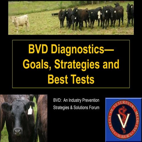 Dr. Dan Givens - Bovine Viral Diarrhoea (BVD) Diagnostics - Goals ...