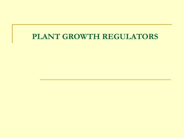 plant hormones class 10 updated.pptx