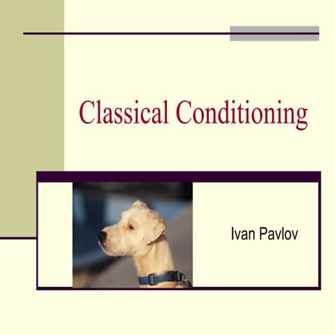 1606985234567-classical-conditioning.ppt