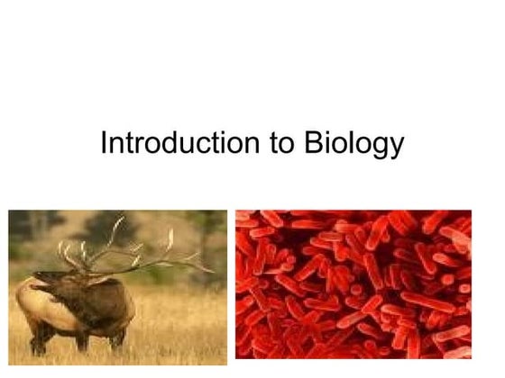 History of biology | PPTX