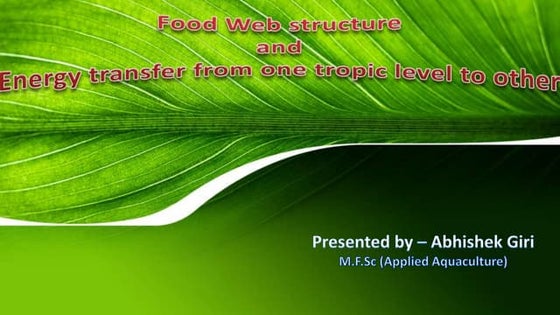 Energy pyramid lesson | PPT