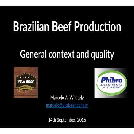 Brazilian Beef Production and Quality | PDF