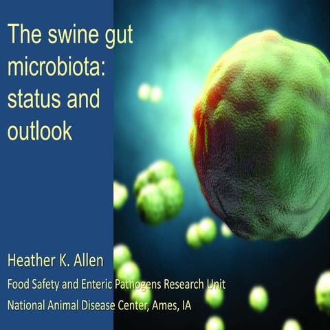 Dr. Heather Allen - The Swine Gut Microbiota: Status and Outlook | PDF