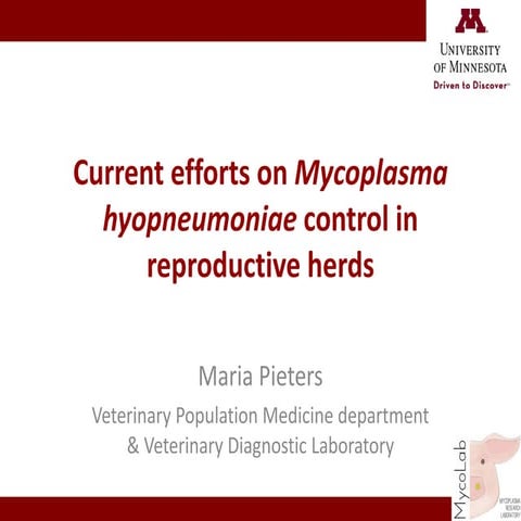 Dr. Mark Schwartz - A System Approach to Mycoplasma hyopneumoniae ...