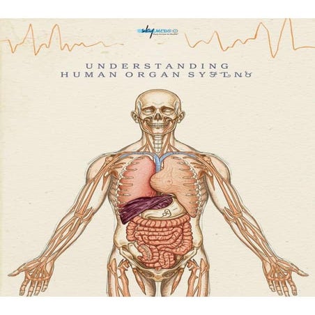 Functions of Human Organ Systems | How the Body Works Together | PDF