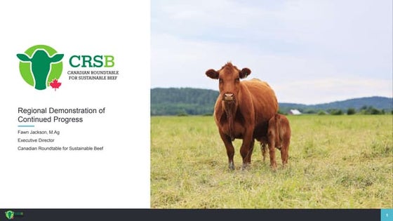 ADB ESLAP case study outputs and synthesis results: Sustainable ...