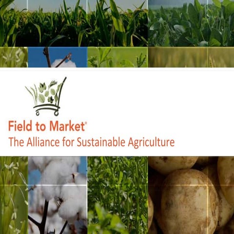 Mr. Rod Snyder - Field to Market: The Alliance for Sustainable ...