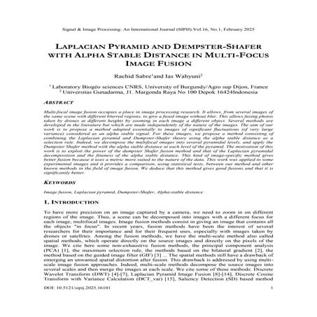 LAPLACIAN PYRAMID AND DEMPSTER-SHAFER WITH ALPHA STABLE DISTANCE IN ...