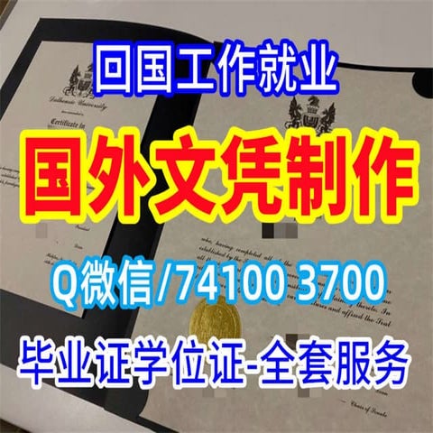 UTA Master Diploma | PDF