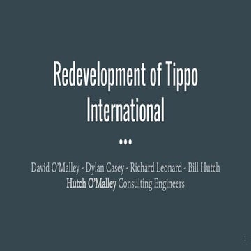 Tippo International | PDF