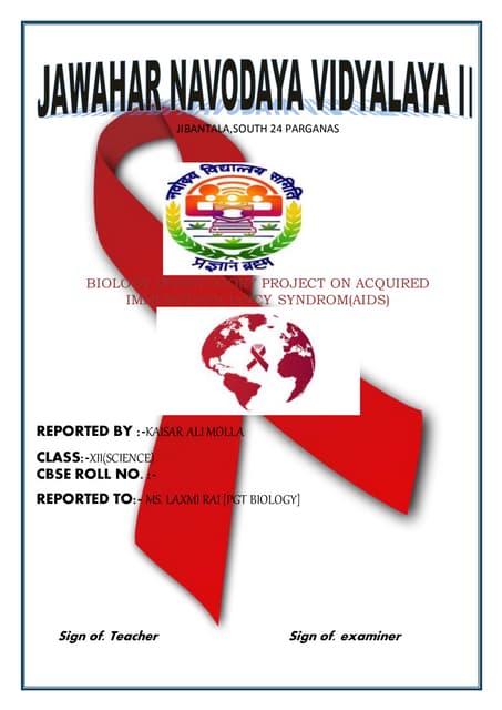Project Report on AIDS. Class 12 CBSE Science (Biology) project. | PDF