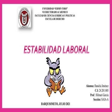 Establidad laboral | PPTX