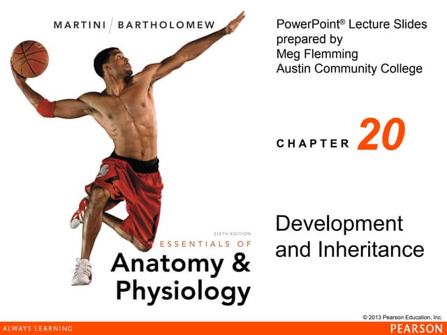 Fertilization Ppt
