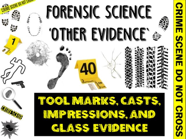 Physical Examination Of Tyre Marks | PPTX