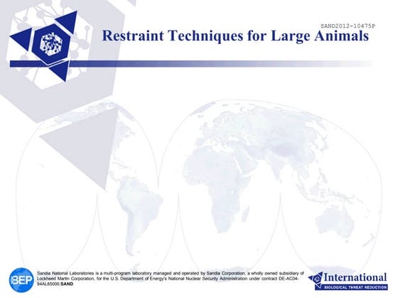 Animal Handling and Restraint | PPTX