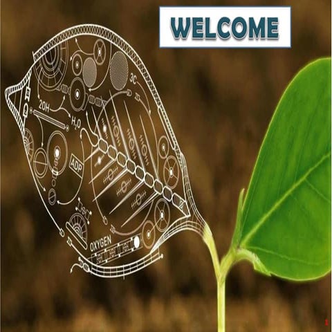 Synthetic Biology in plants | PDF