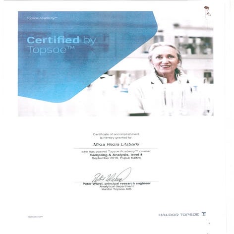 Topsoe Academy | PDF