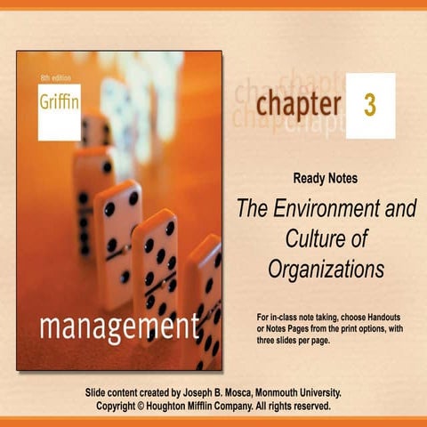 ORGANIZATION AND ENVIRONMENT | PPT