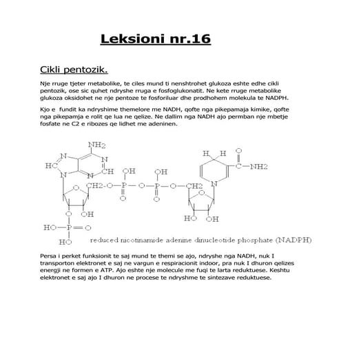Cikli Pentozik | PDF