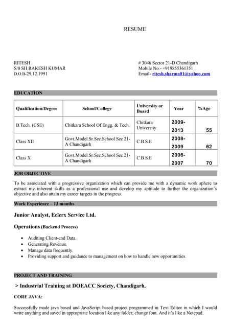 Nardos Resume | PDF