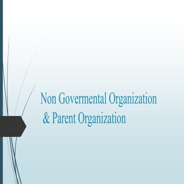 Non Govermental Organization | PPT