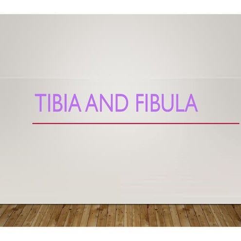 Tibia of the animals cow, horse and dog book | PDF
